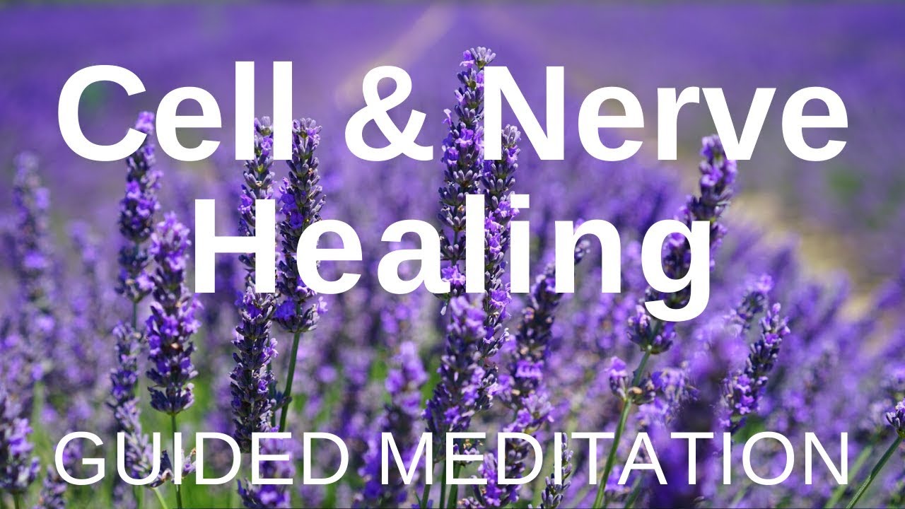 Guided HEAL Meditation – Cell and Nerve Healing (Self Healing ...