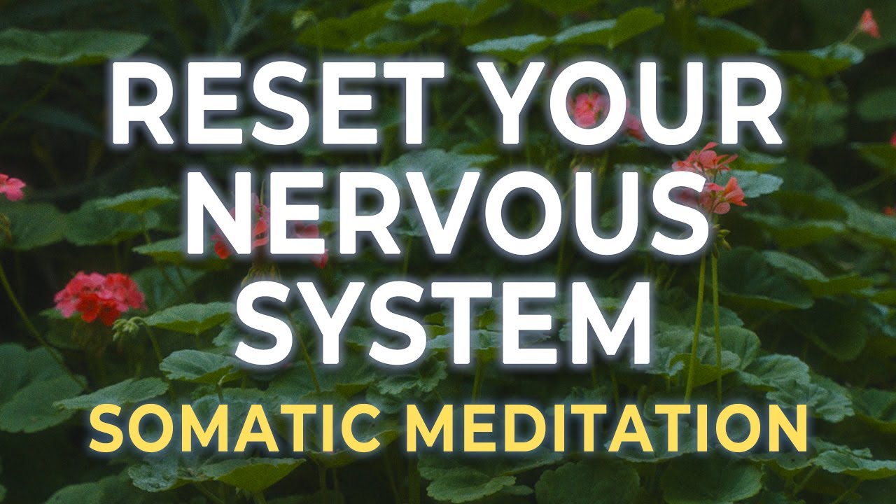 Vagus Nerve Reset Meditation | Somatic Practice for Deep Nervous System ...